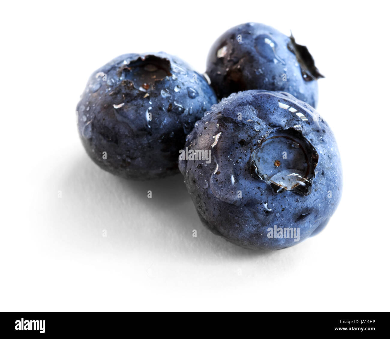 isolated, fruit, bilberries, blueberries, backdrop, background, white ...