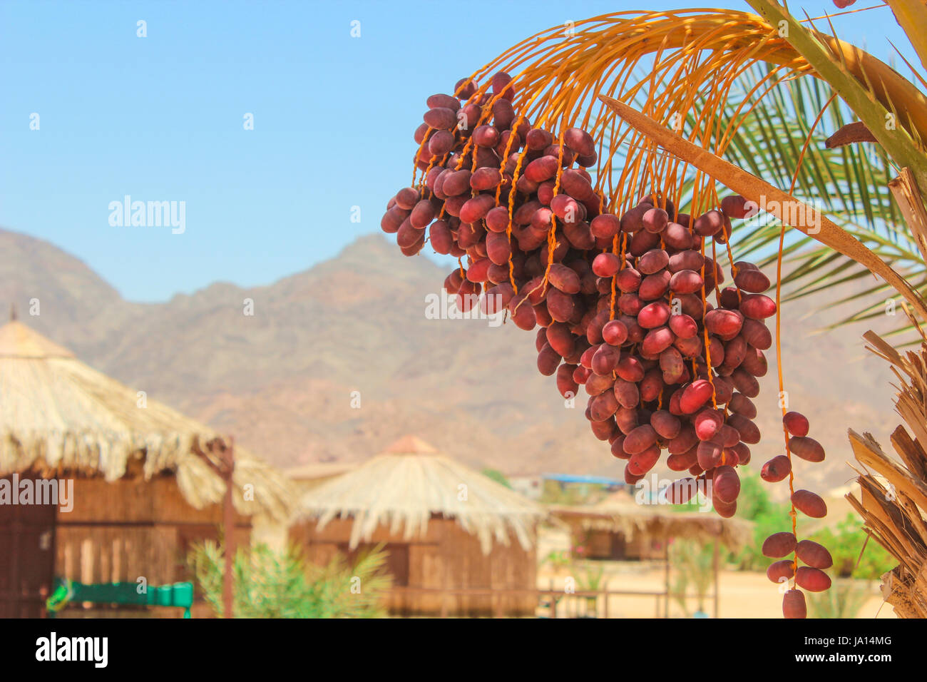 Cottage in a Camp in Sinai, Taba desert with the Background of the Sea ...