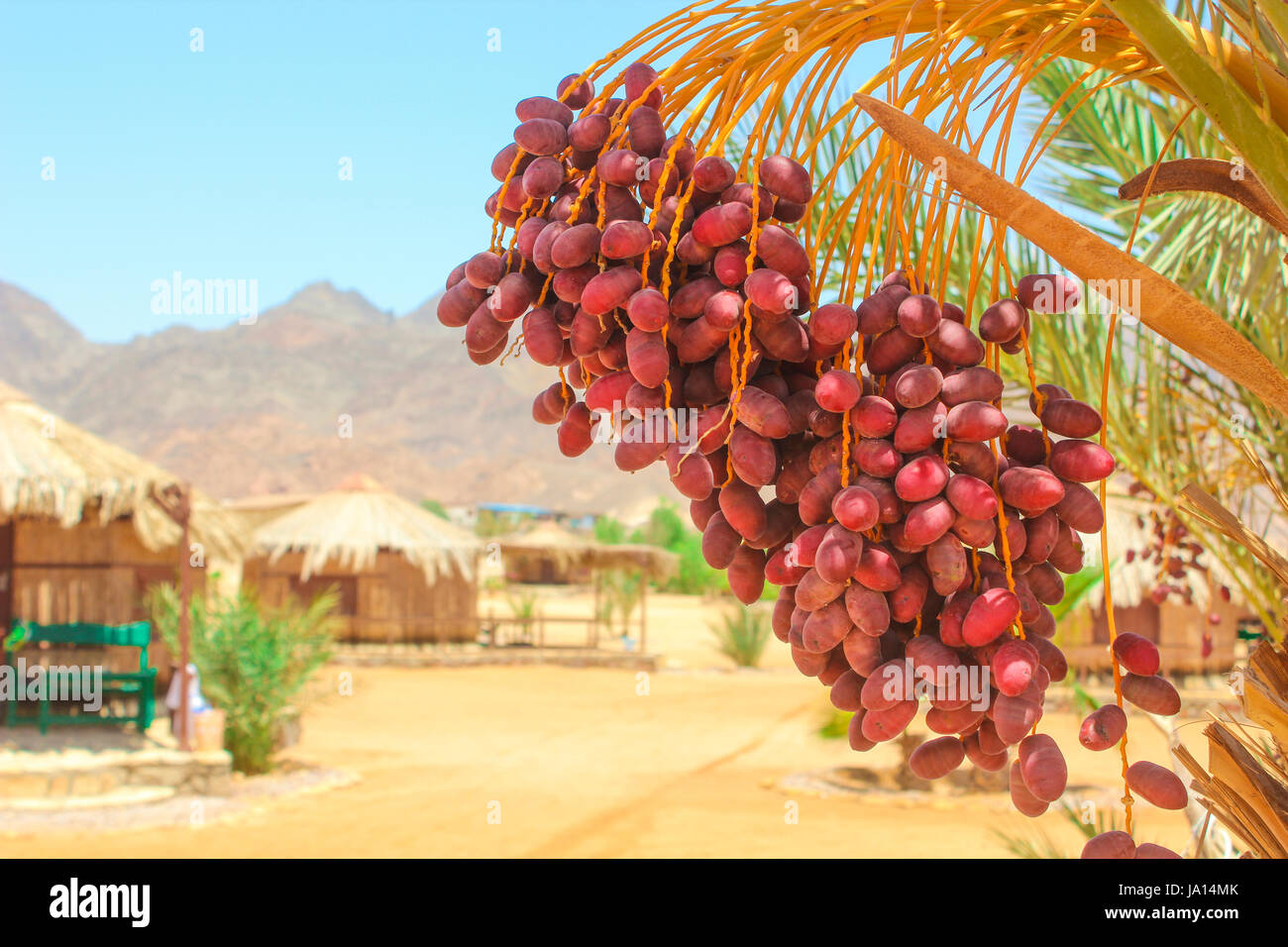 Cottage in a Camp in Sinai, Taba desert with the Background of the Sea ...