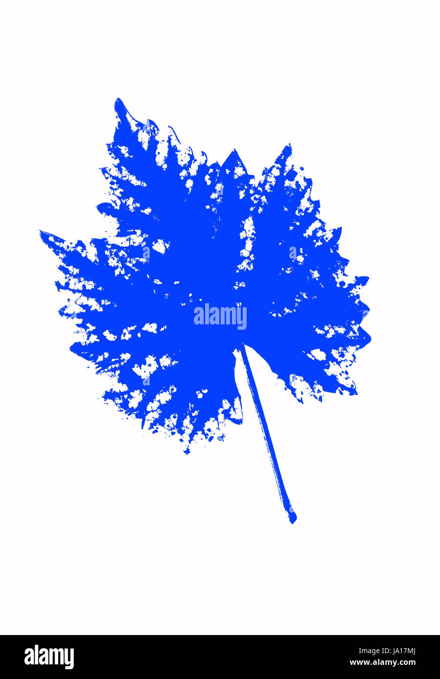 leaf, monochrome, shear-cut, stalk, stem, stylized, structure, plant ...