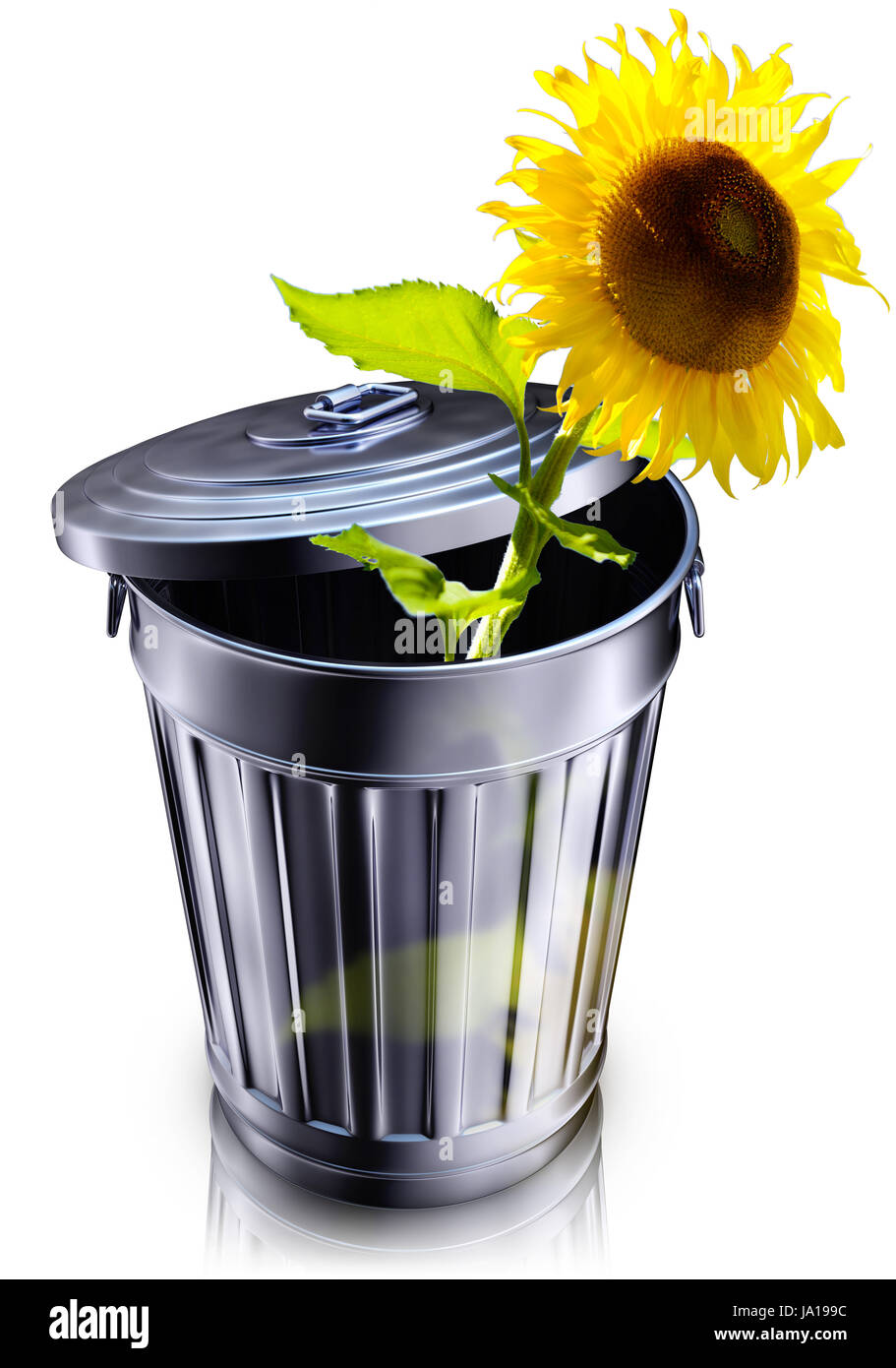 flower, sunflower, plant, garbage can, environmental protection ...