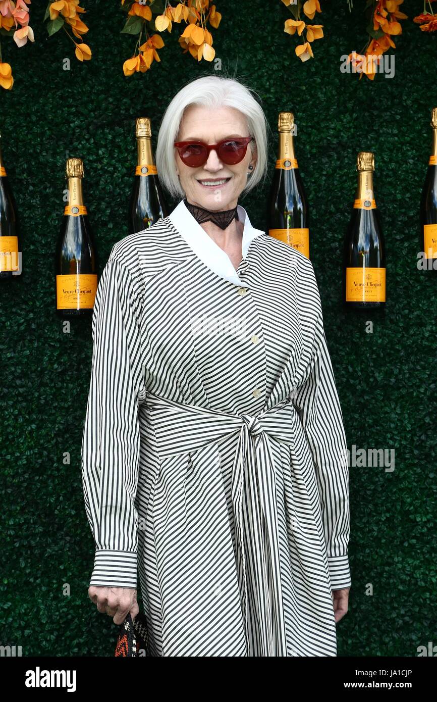 Jersey City, NJ, USA. 3rd June, 2017. Maye Musk in attendance for 10th ...