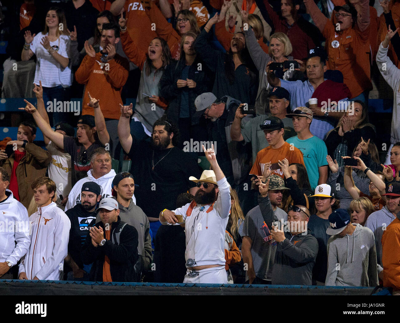 Cal state long beach dirtbags hi-res stock photography and images - Alamy