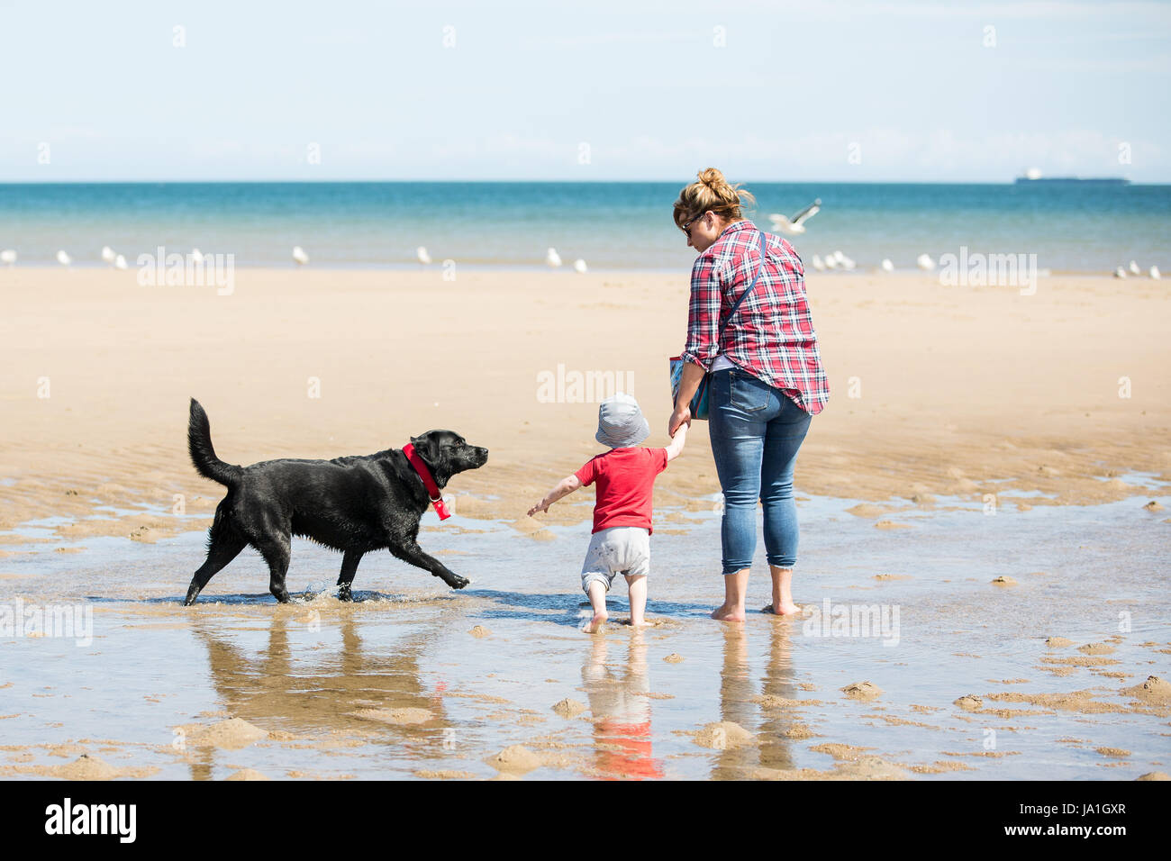 Lligwy Beach, Moelfre, Anglesey, Wales, UK. 4th June, 2017. People make ...