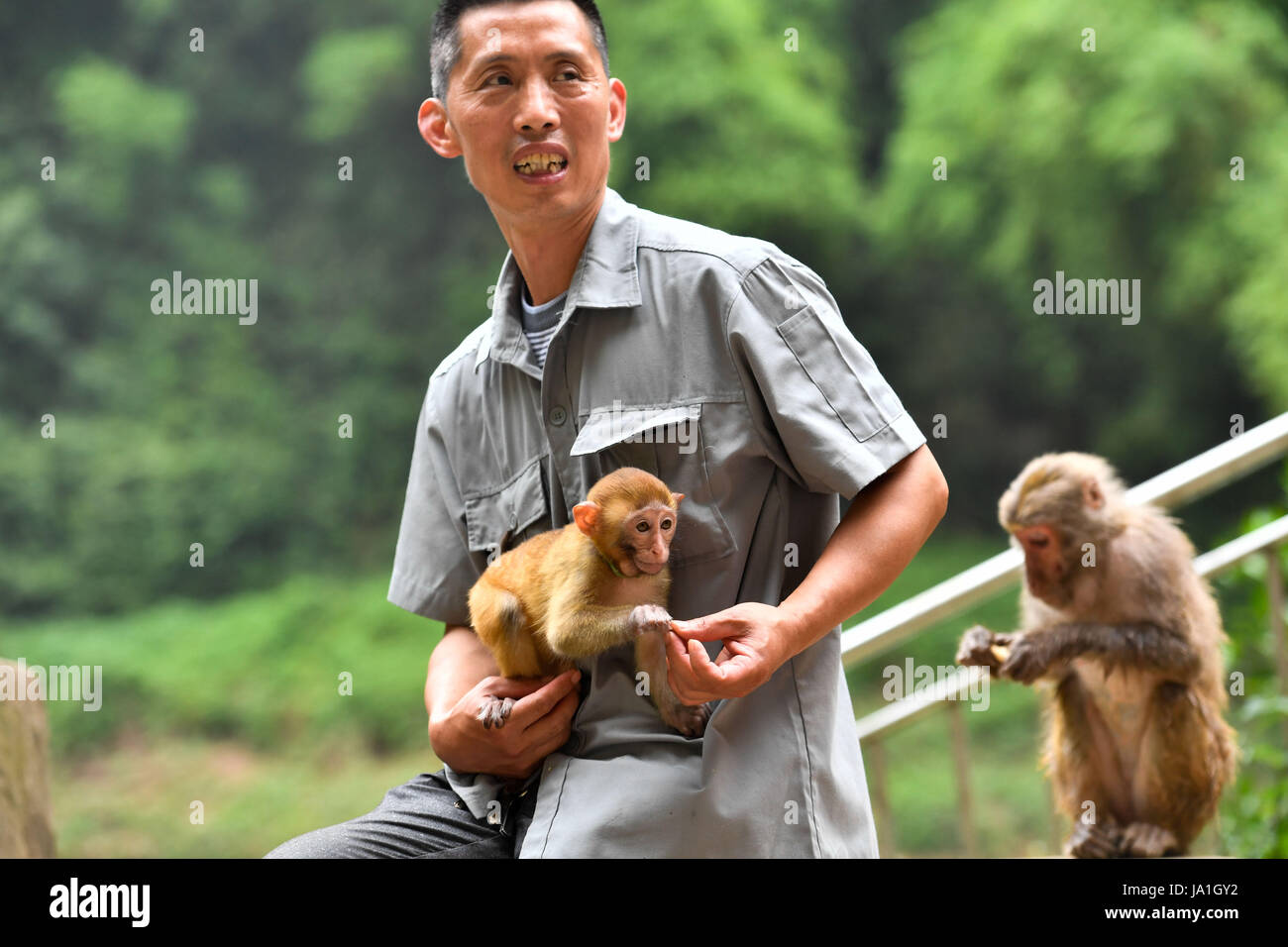 Chongqing, China. 3rd June, 2017. Staff worker Yang Yongliu holds a ...
