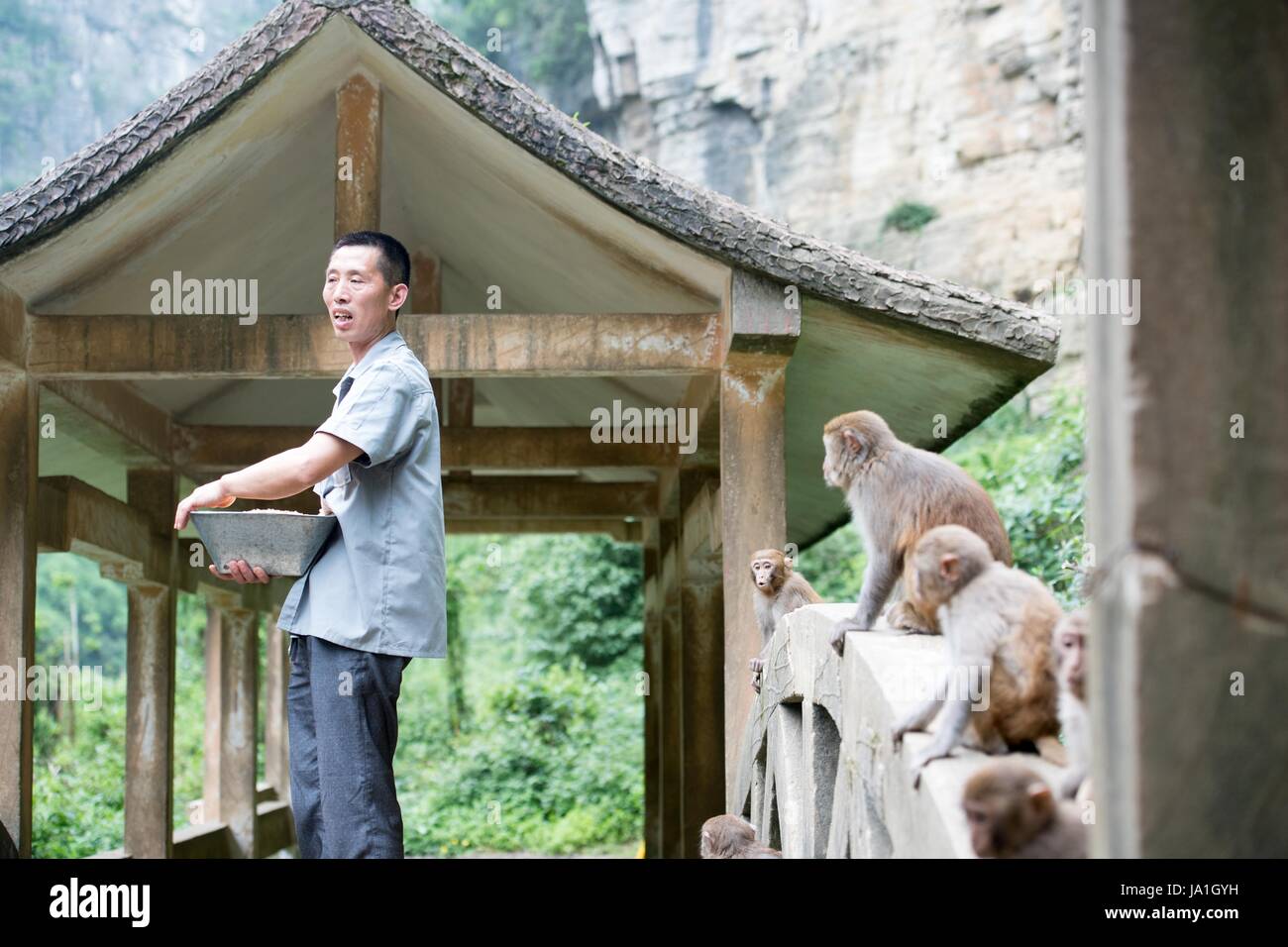 Chongqing, China. 3rd June, 2017. Staff worker Yang Yongliu prepares to ...
