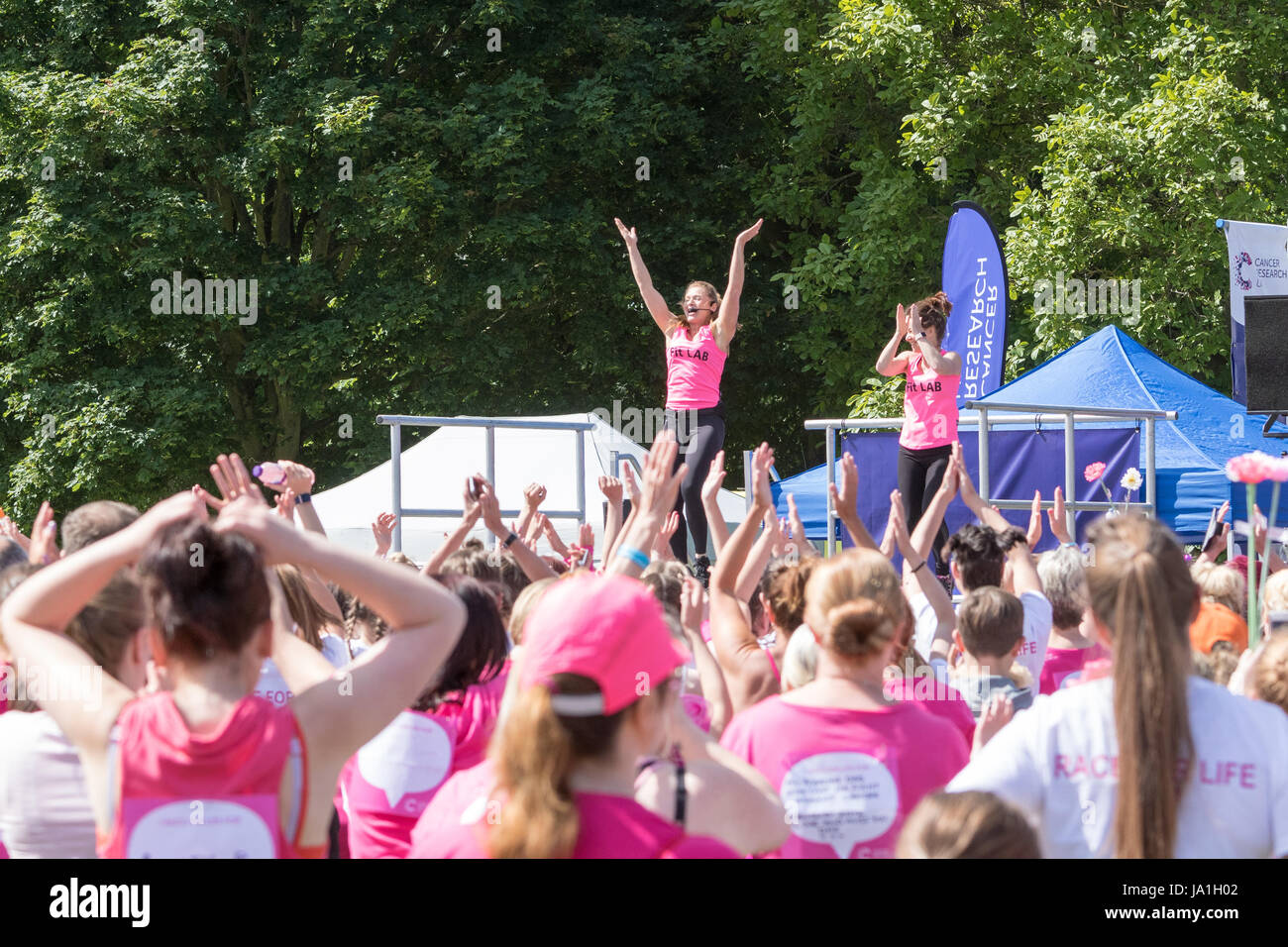 Cancer research pink hi-res stock photography and images - Alamy