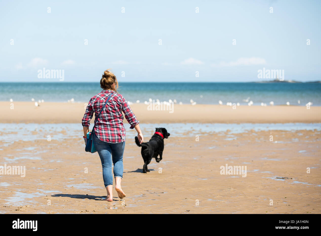 Anglesey stunning beach hi-res stock photography and images - Alamy