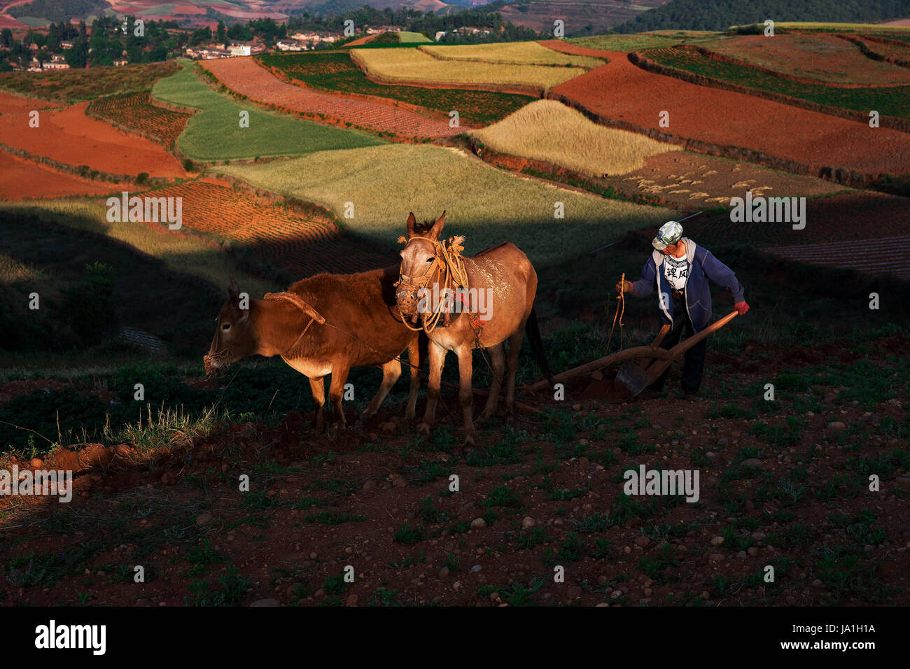 Kunming, China. 04th June, 2017. Photo taken on May 7, 2017 shows the ...