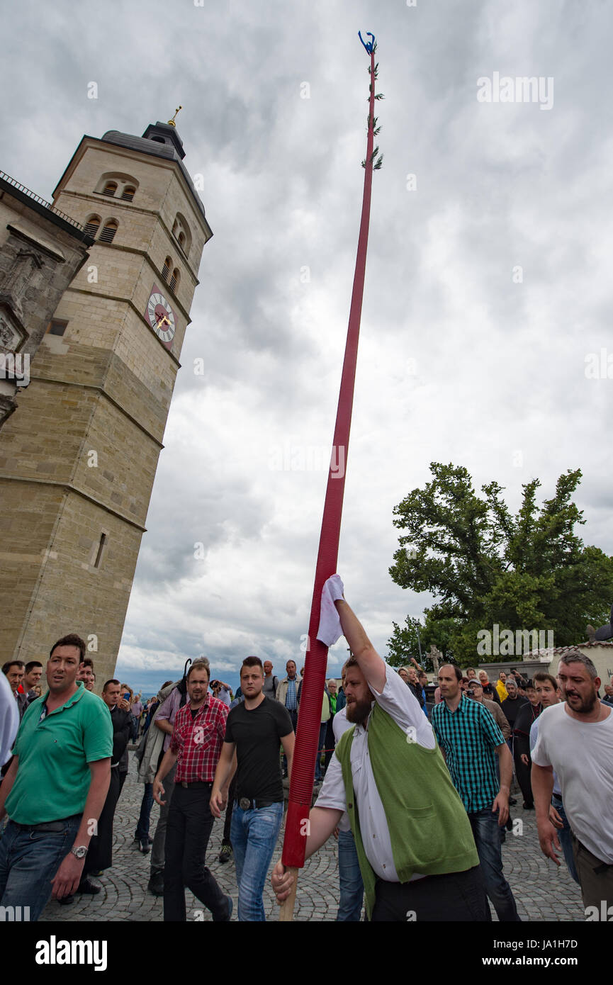 Bogen, Germany. 4th June, 2017. Pilgrims carry a 13 meter long and 50 ...