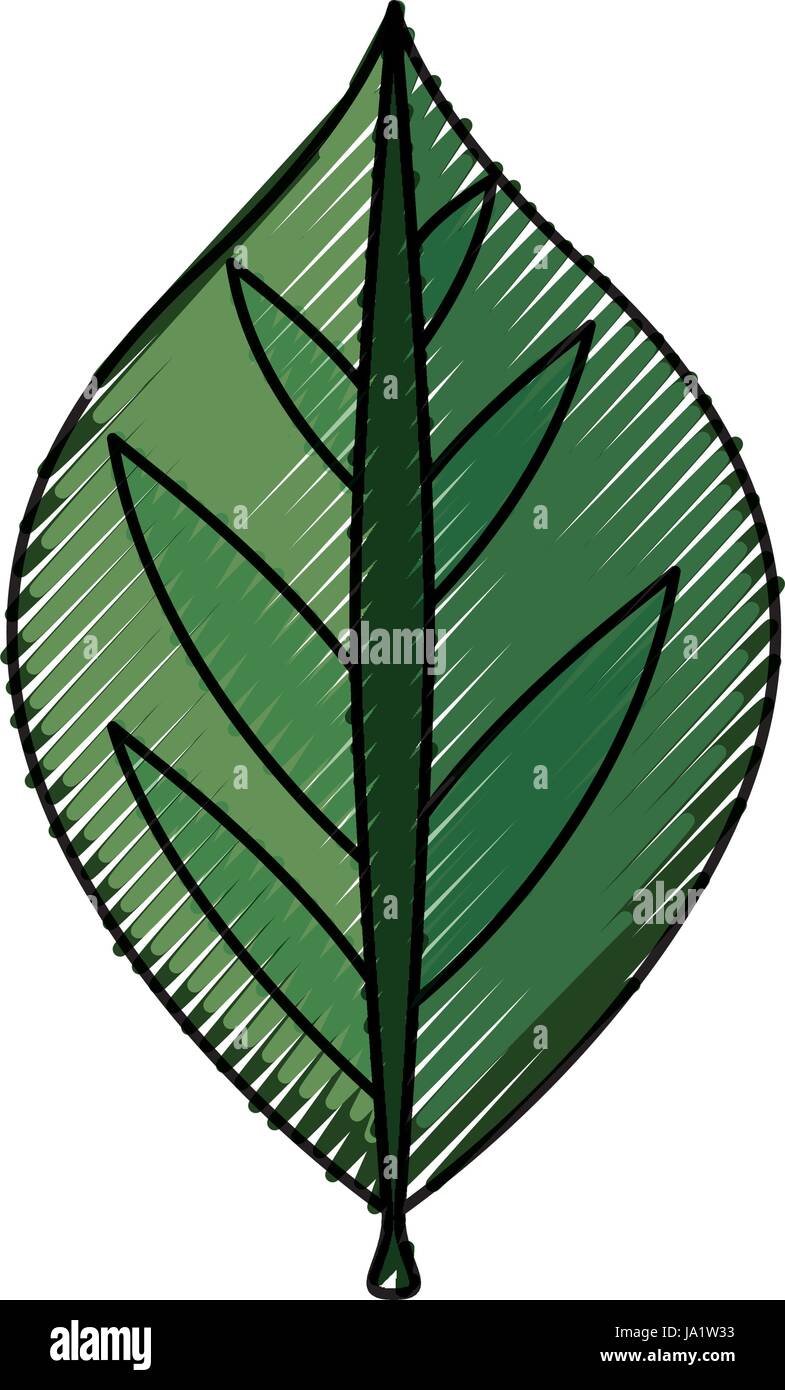 Leaf ecology symbol Stock Vector Image & Art - Alamy