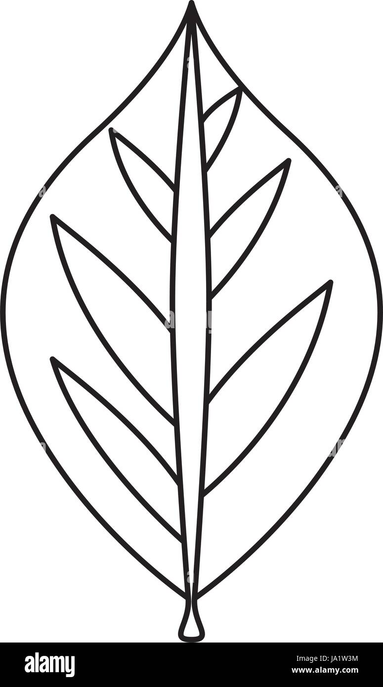 Leaf ecology symbol Stock Vector Image & Art - Alamy