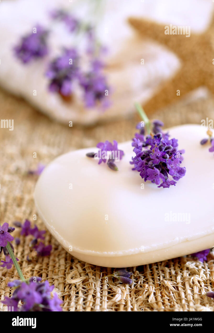 hygiene, lavender, Provence, soap, skin, showers, freshness ...