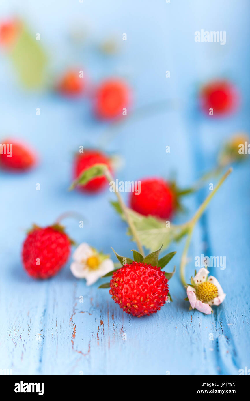 blossoms, fruity, bleed, rustical, rustic, woodstrawberries ...