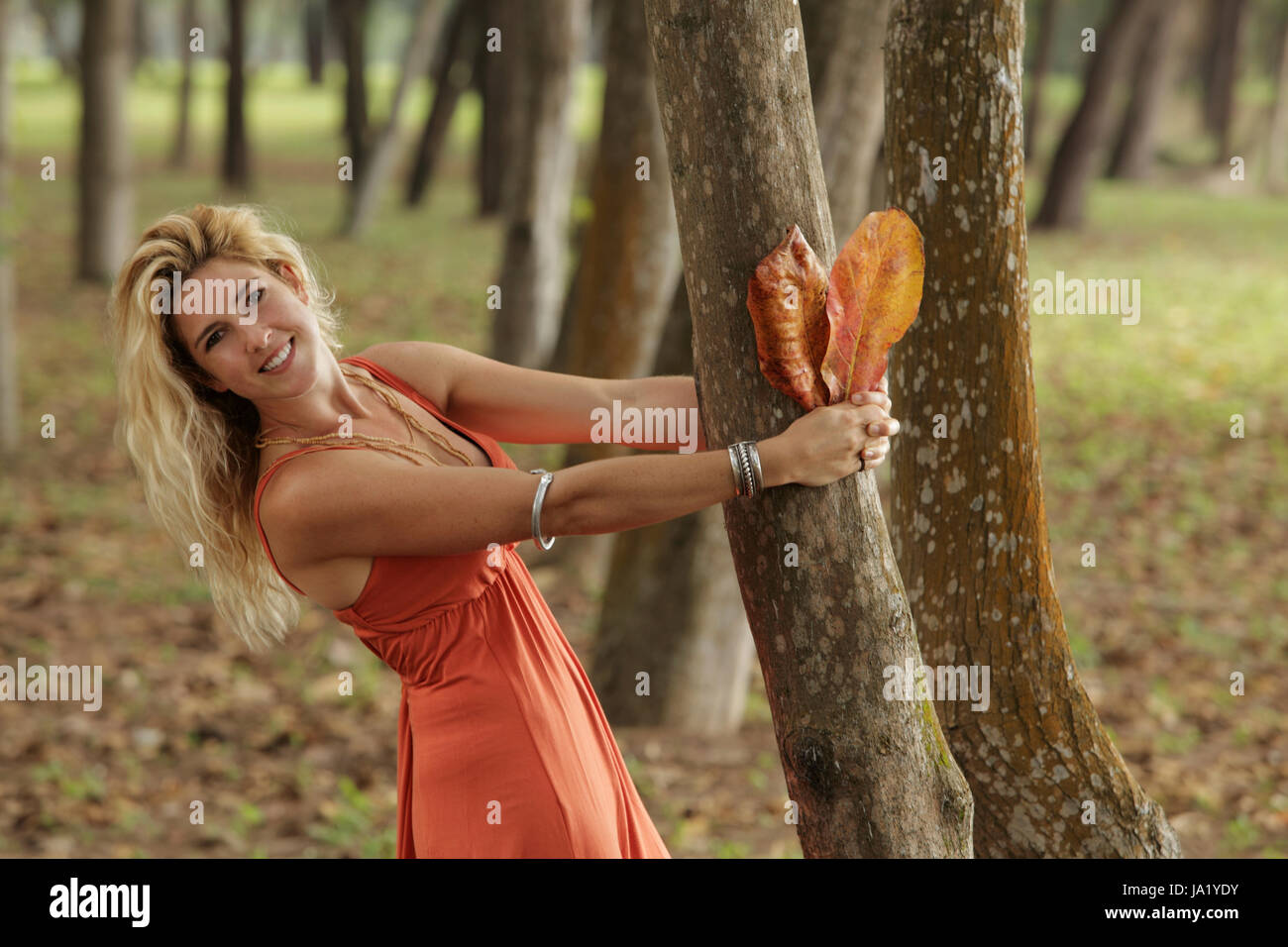 woman, beautiful, beauteously, nice, relaxation, tree, trees, park ...