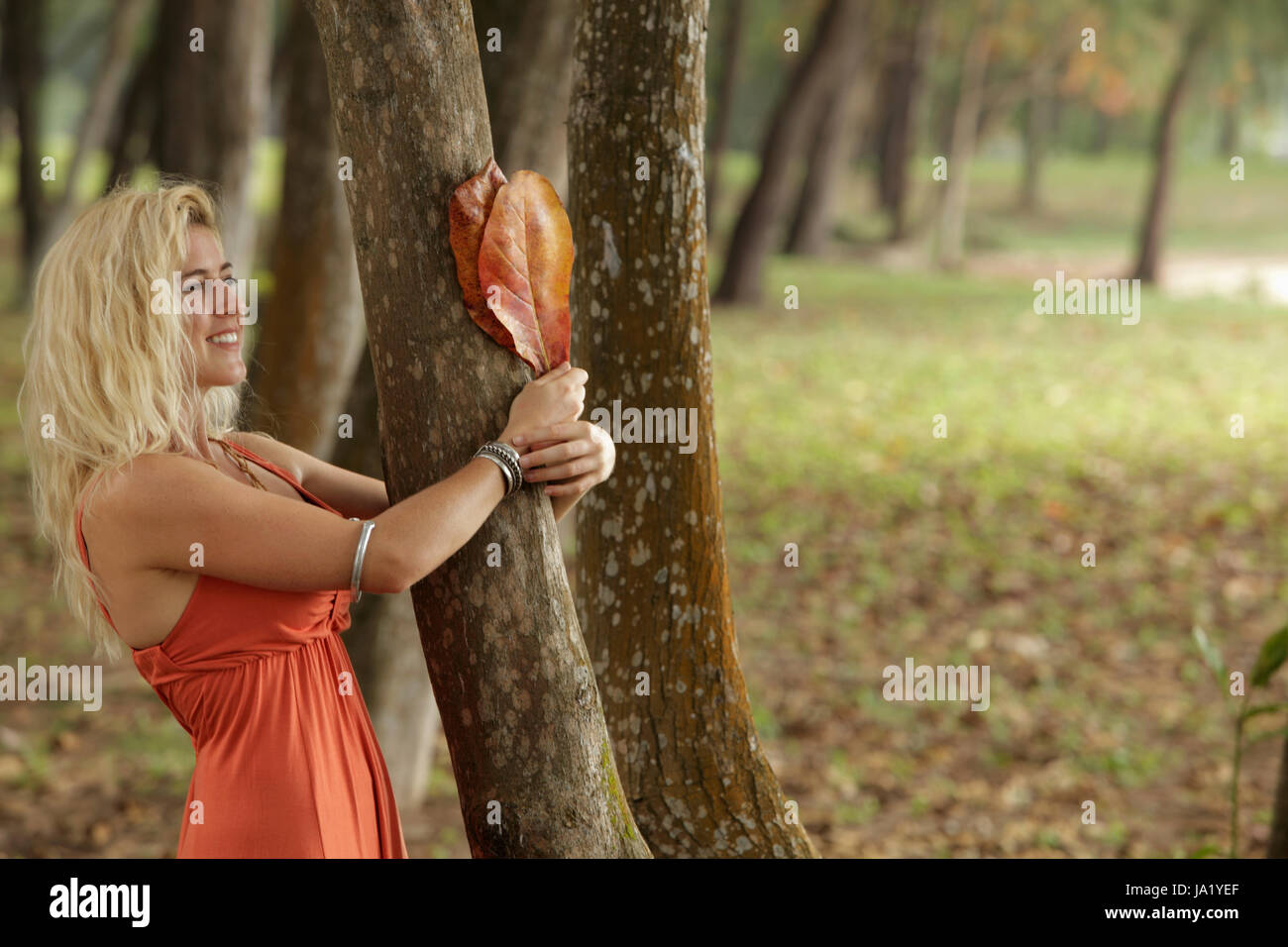 woman, relaxation, tree, trees, park, leaves, horizontal, singapore ...