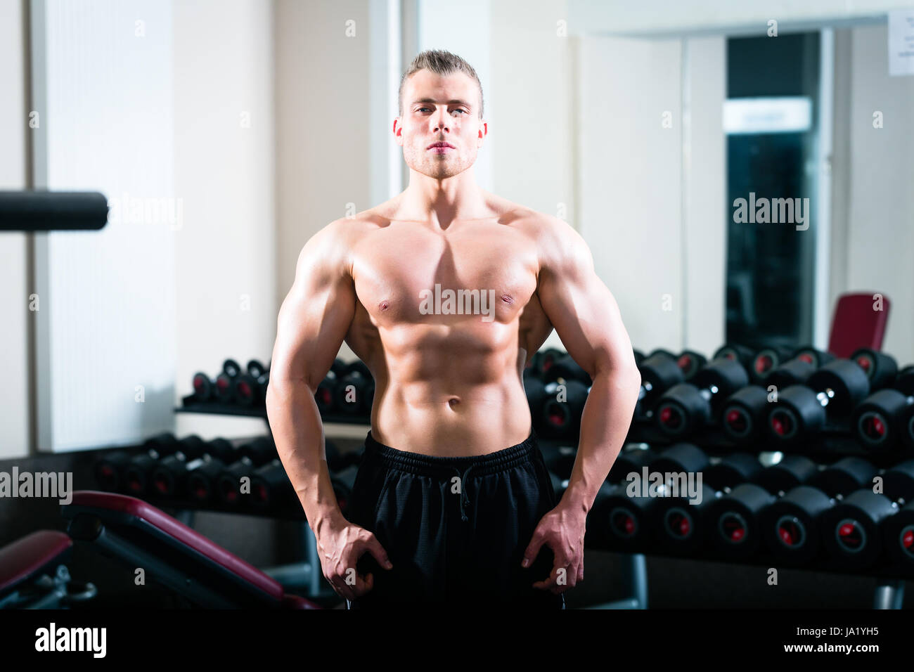 Strong man, bodybuilder posing in Gym, dumbbells are in the background ...