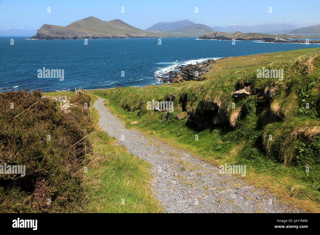 wild, atlantic ocean, salt water, sea, ocean, water, coast, surf ...