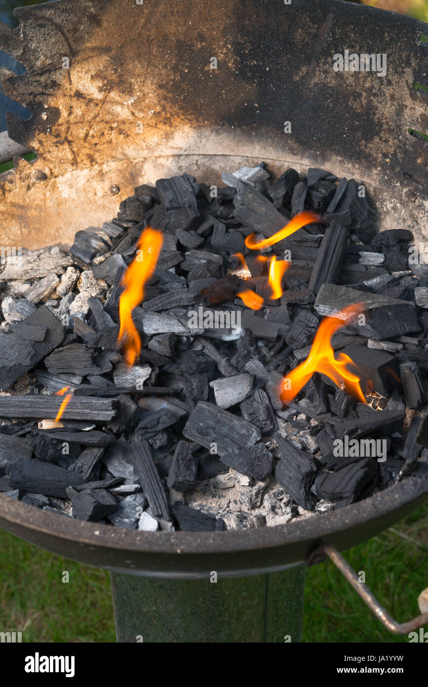 food, aliment, evening, fresh water, pond, water, grill, barbecue ...