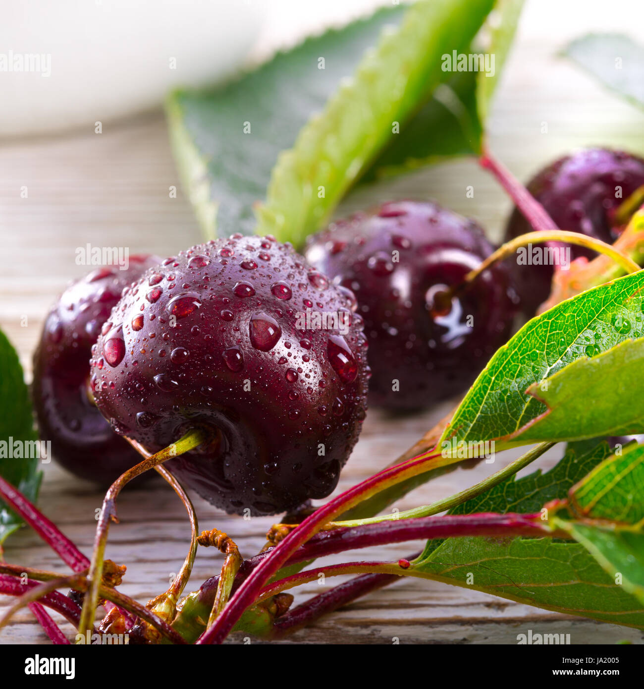 tree, asia, spring, branch, cherry, backdrop, background, blue ...