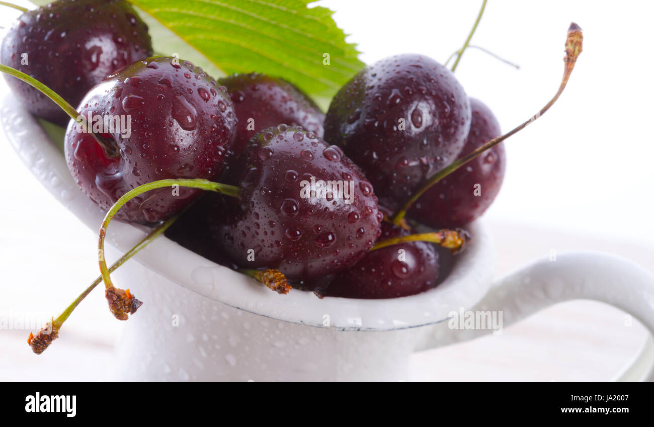 tree, asia, spring, branch, cherry, backdrop, background, blue ...