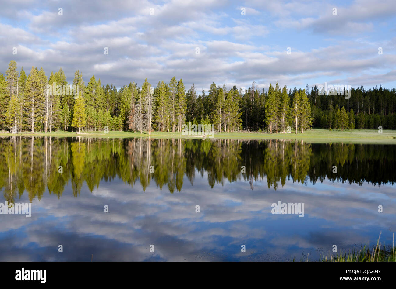 tourism, reflection, vegetation, environment, enviroment, national park ...
