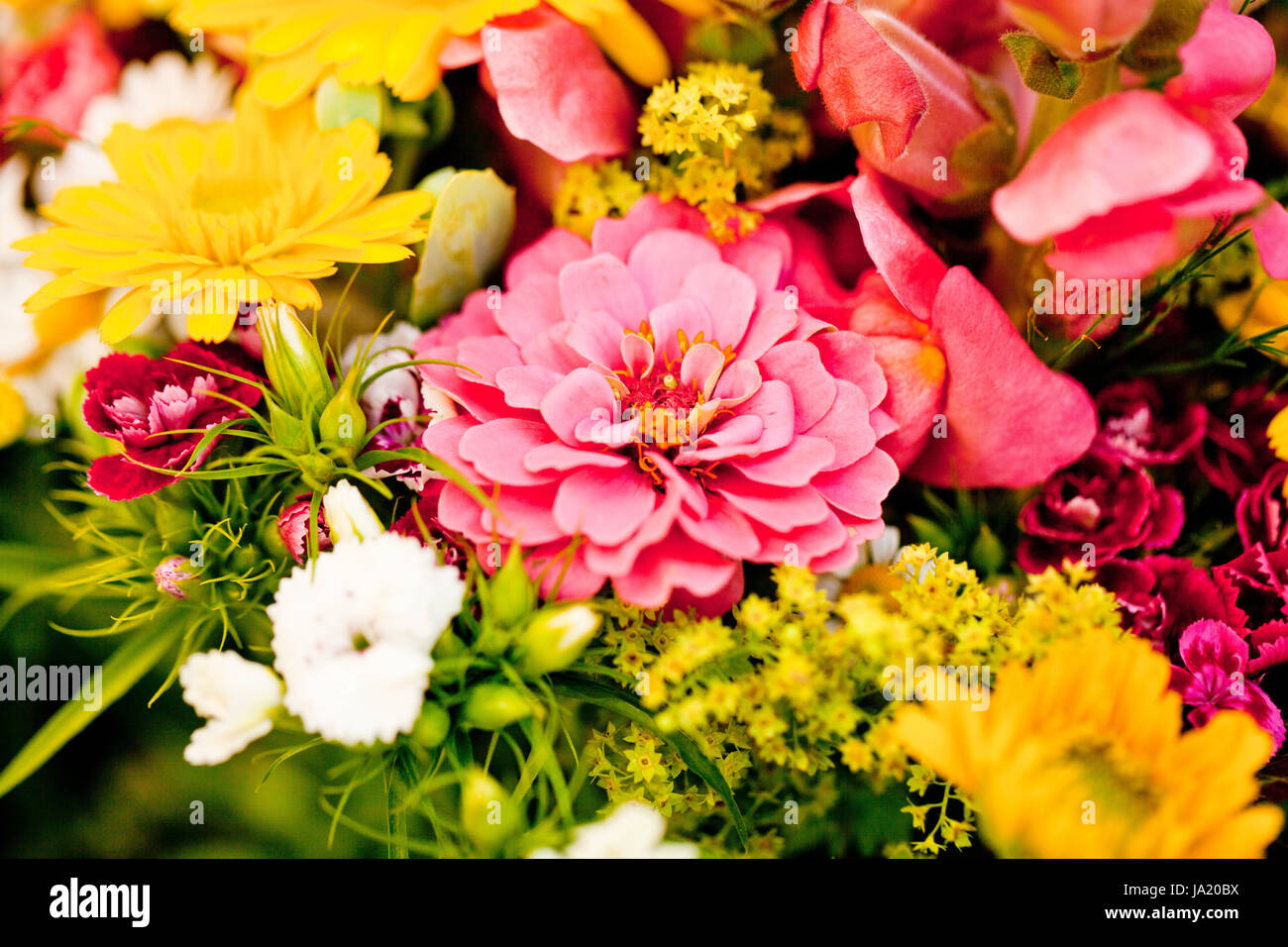 colorful mixed fresh flowers on the market in summer Stock Photo - Alamy