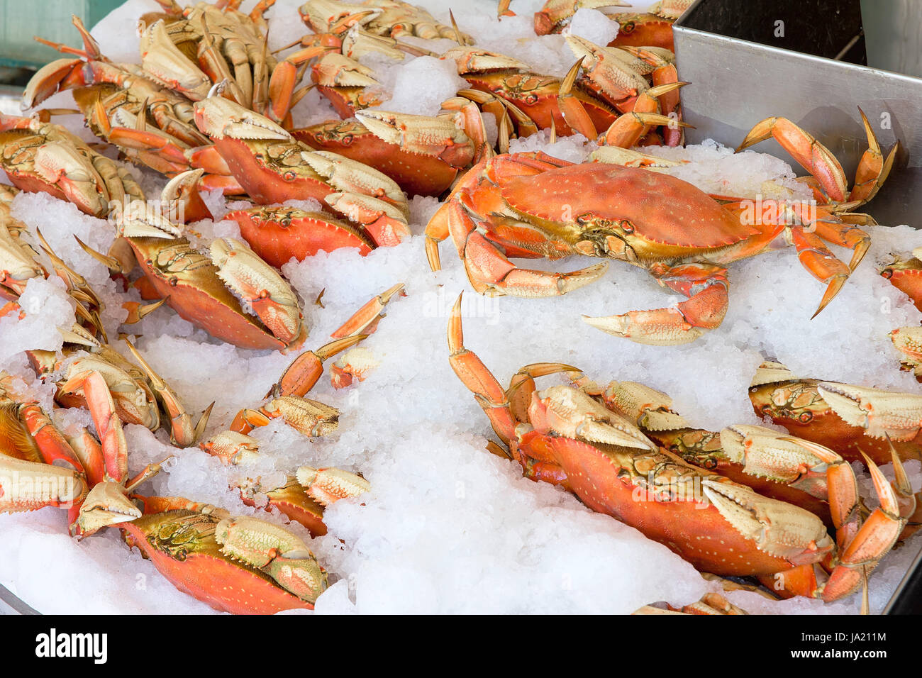 america, coast, pacific, salt water, sea, ocean, water, seafood, crabs ...
