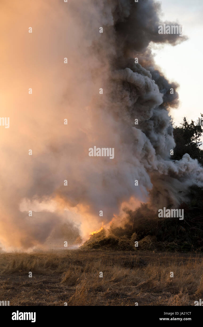 smoke, smoking, smokes, fume, holiday, wood, easter, fire ...