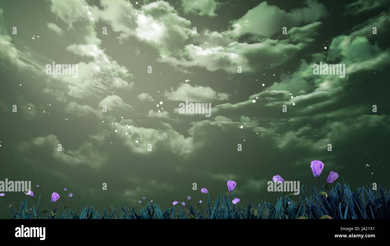 beautiful, beauteously, nice, space, flower, plant, night, nighttime ...