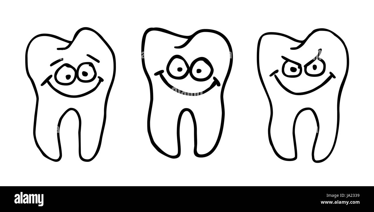Human Tooth Chart Stock Vector Illustration Of Teeth