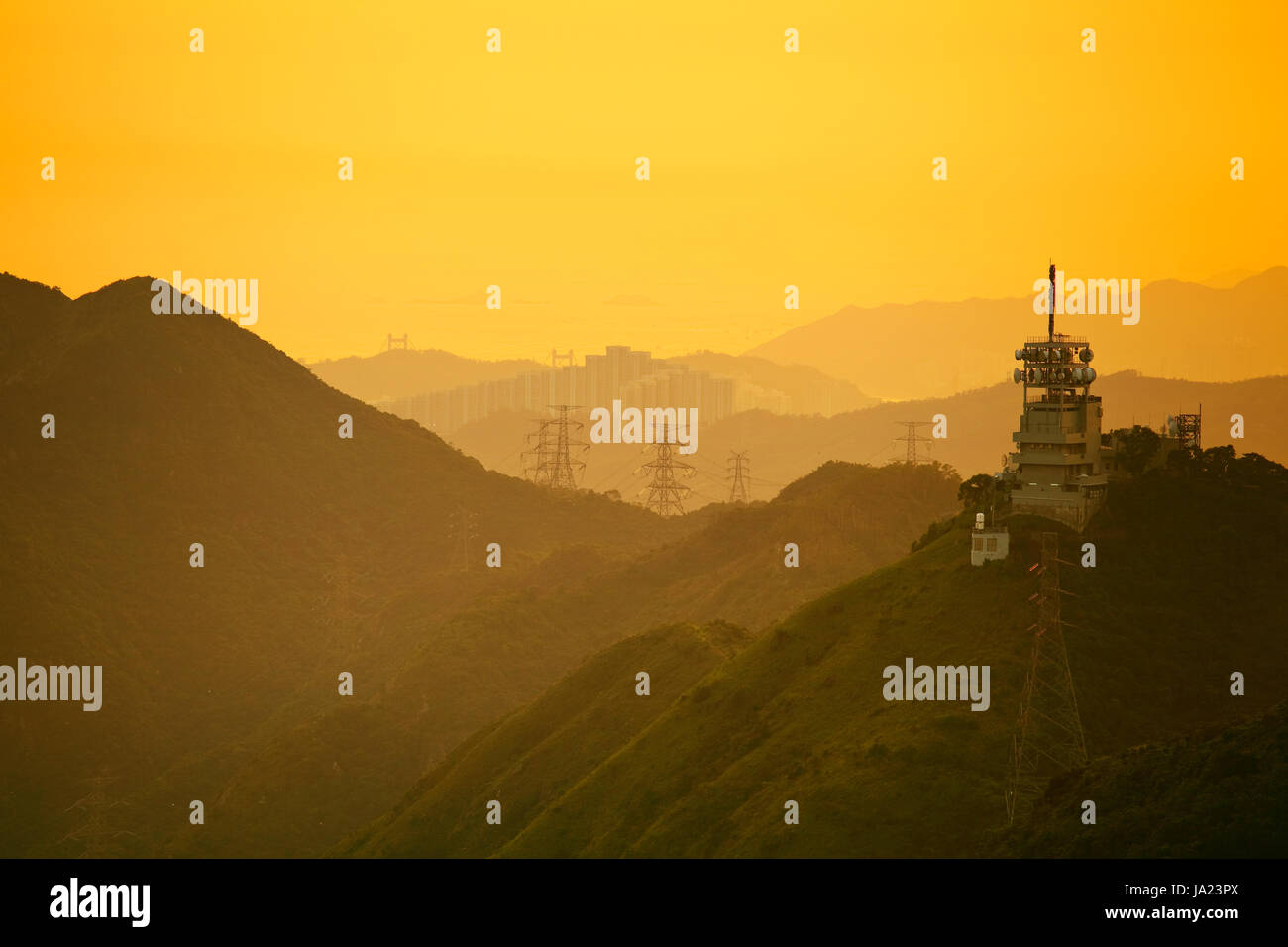 environment, enviroment, tree, hill, sunset, sunrise, tip, peak, jungle ...