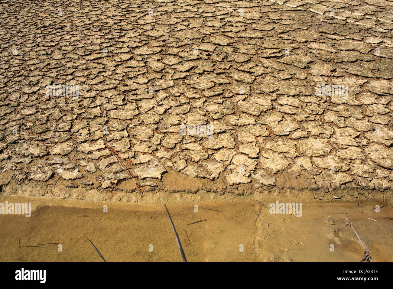 desert, wasteland, ponds, ground, soil, earth, humus, field, summer ...