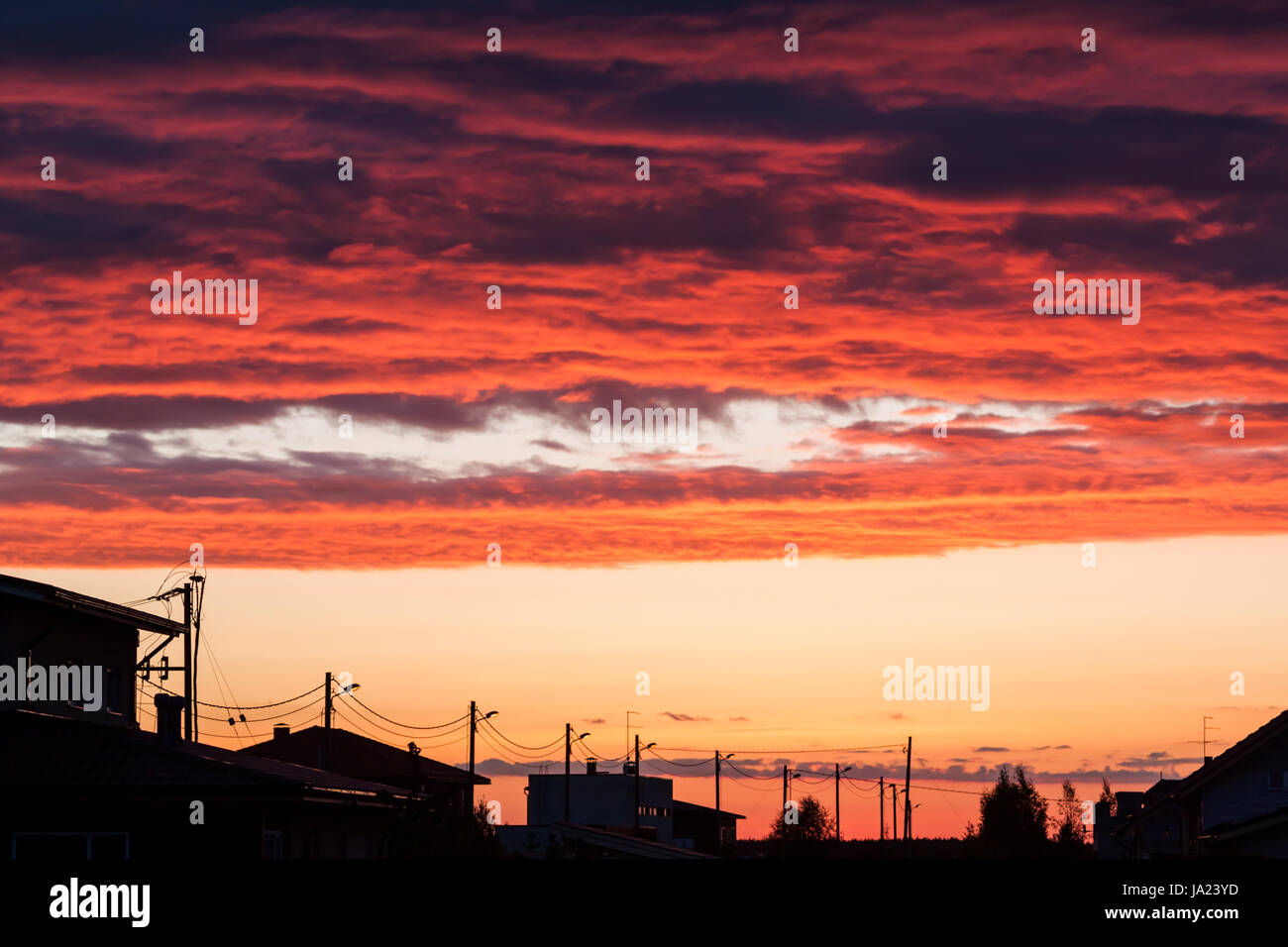 house, building, city, town, colour, tree, night, nighttime, sunset ...