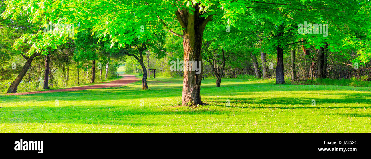 Panoramic view of a Wisconsin park with a foot path going through the ...