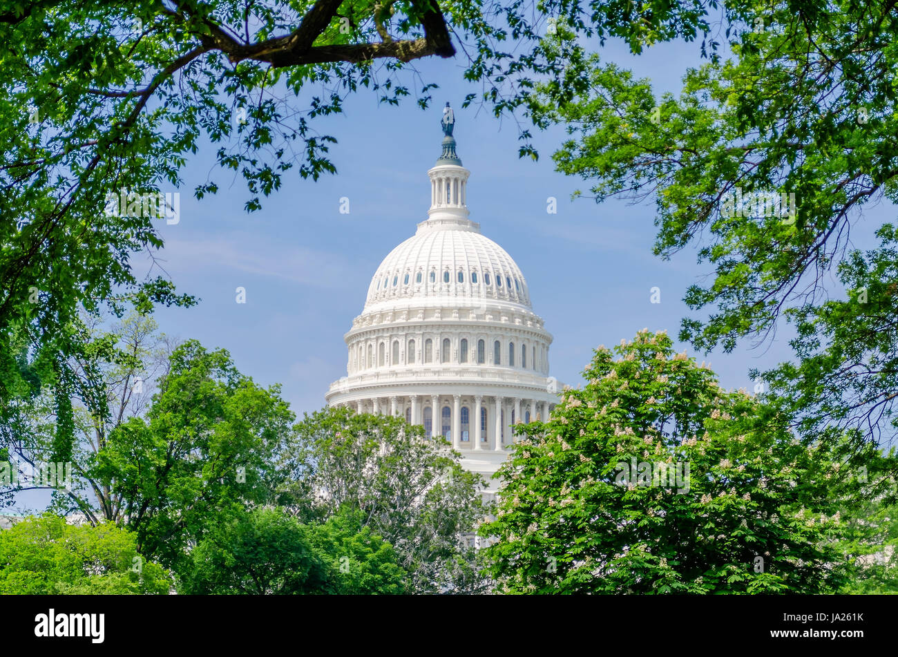 dome, usa, government, capitol, building, blue, detail, monument ...
