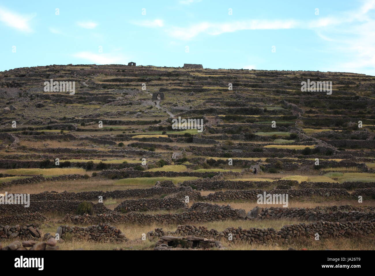 terraced fields on lake titicaca Stock Photo - Alamy