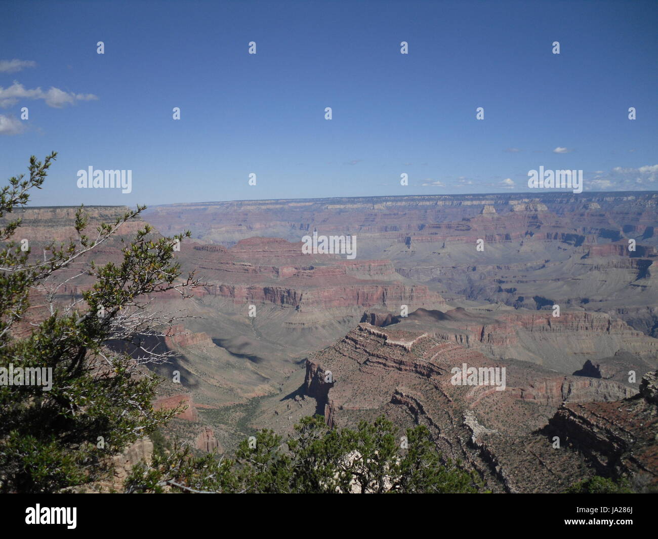 tree, trees, rock, mountain, scenery, countryside, nature, stones, tree ...