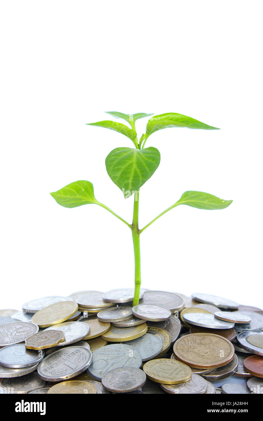 leaf, model, design, project, concept, plan, draft, tree, currency ...