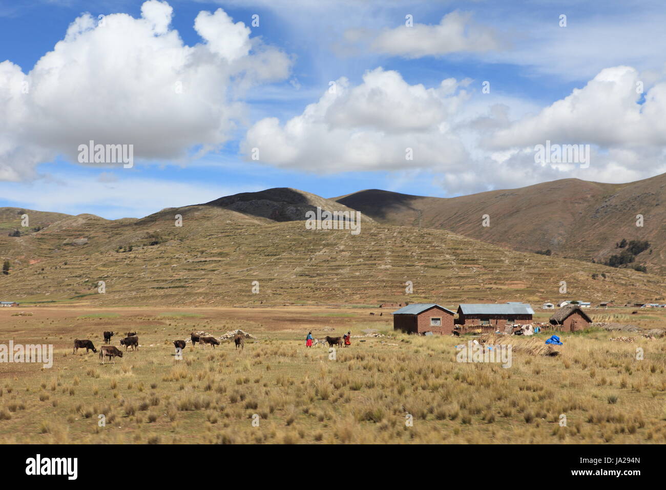 south america, peru, andes, bolivia, scenery, countryside, nature, city ...