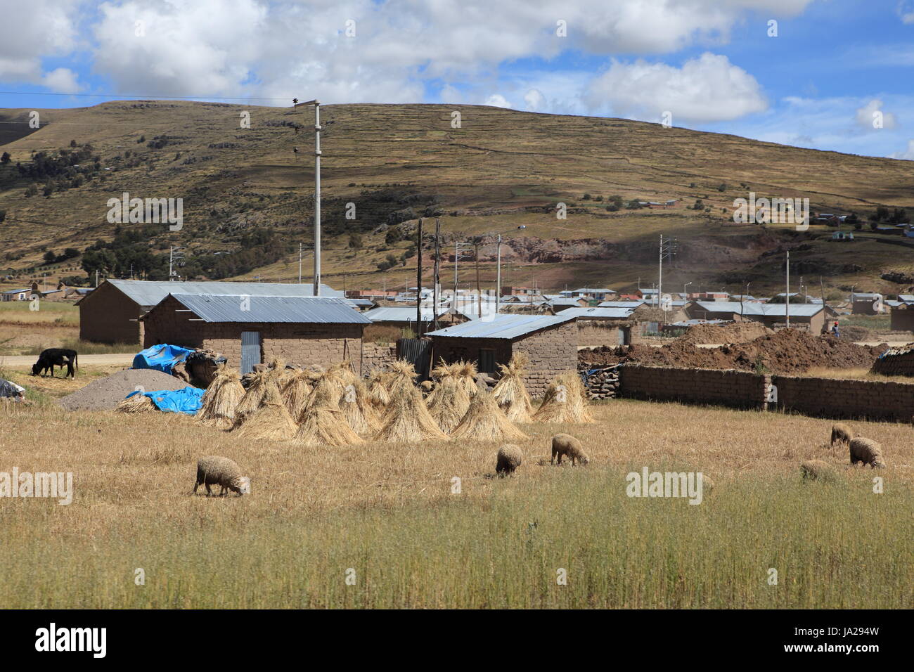 south america, peru, andes, bolivia, scenery, countryside, nature, city ...