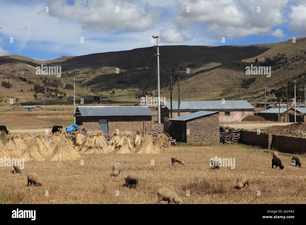 south america, peru, andes, bolivia, scenery, countryside, nature, city ...