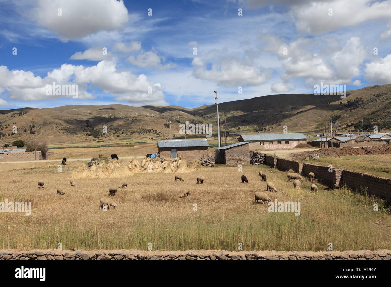 south america, peru, andes, bolivia, scenery, countryside, nature, city ...