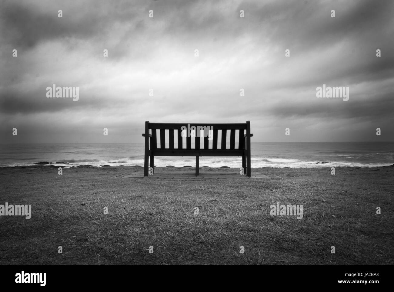 sad, depressed, seat, bench, alone, lonely, colour, winter, bird, fog ...