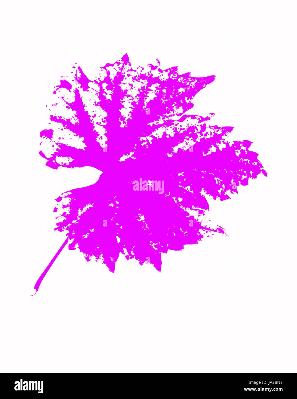 monochrome, shear-cut, stalk, stem, stylized, structure, page, sheet ...