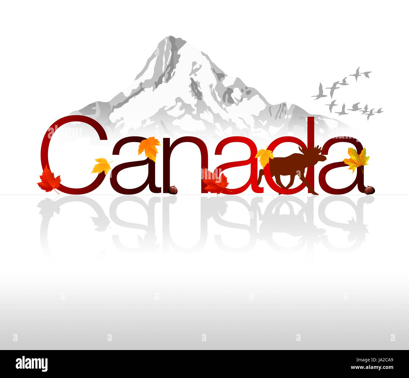 canada, goose, canadian, colors, colours, backdrop, background, fall ...