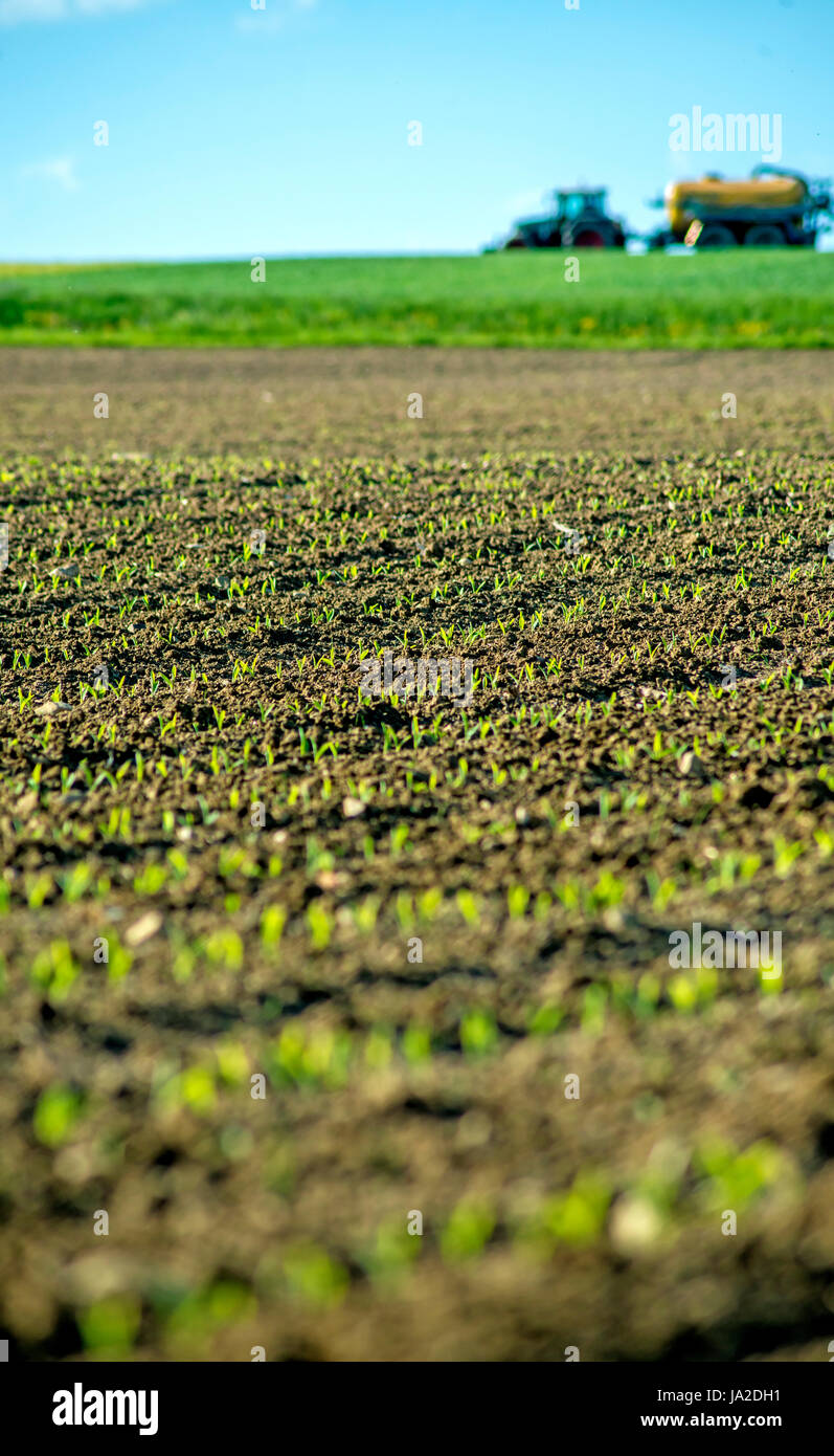 field, cultivation, blurred, tractor, array, seedling, backdrop ...