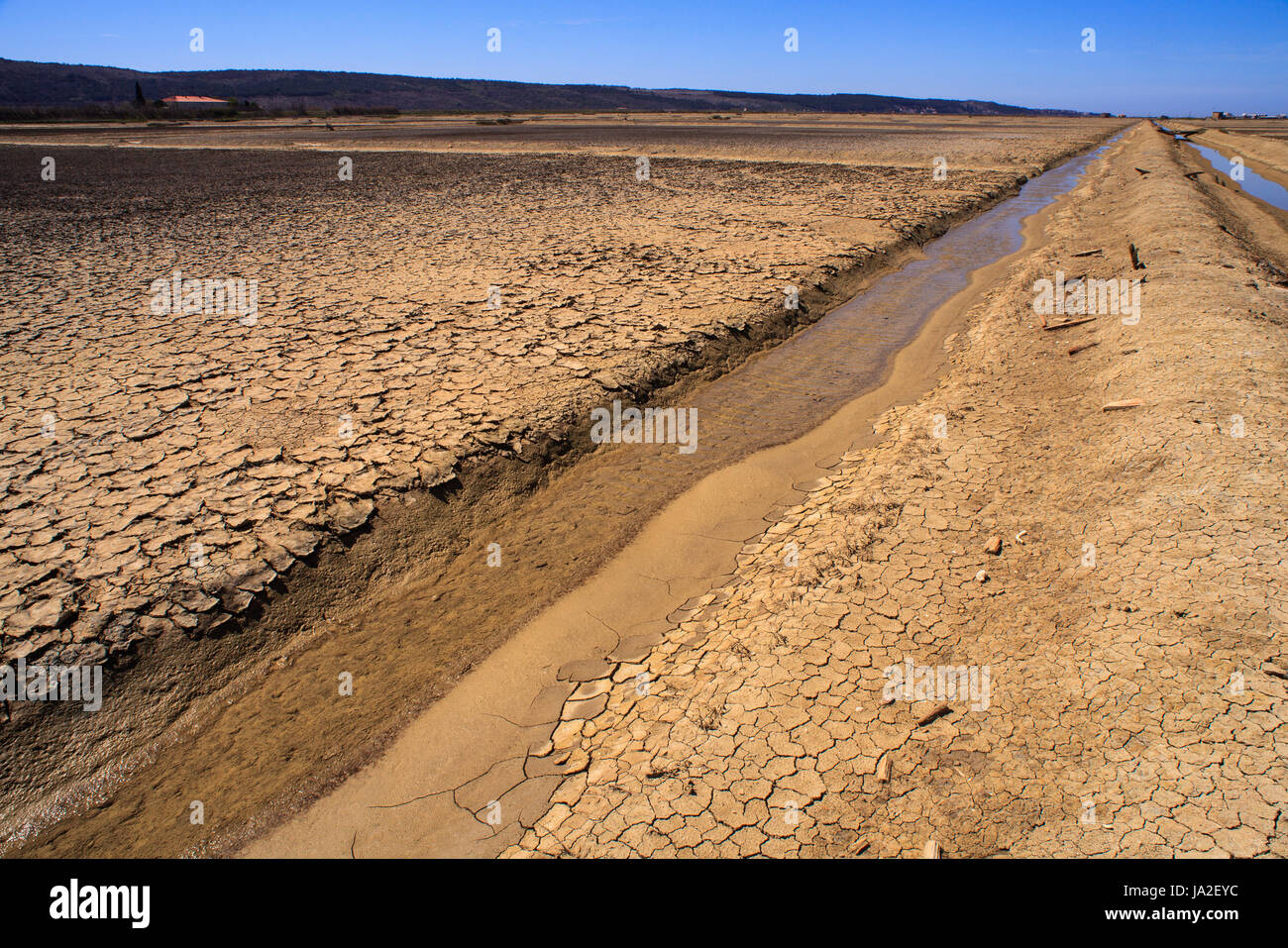 salts, ground, soil, earth, humus, field, summer, summerly, deserted ...
