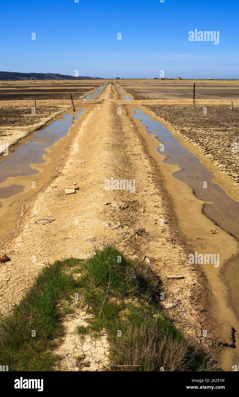 lock, water, ground, soil, earth, humus, field, summer, summerly ...