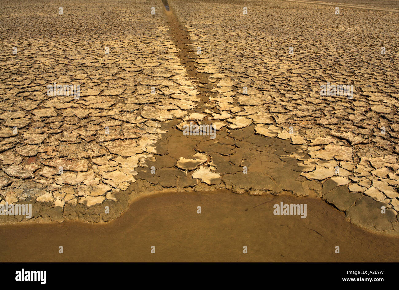 lock, water, ground, soil, earth, humus, field, summer, summerly ...